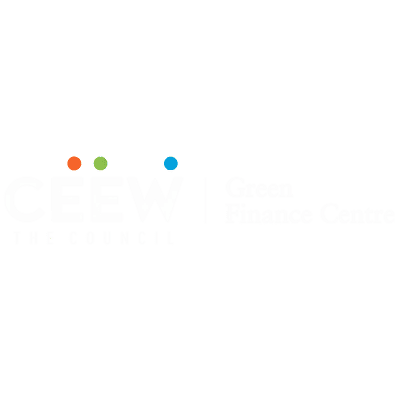 Meet the Team: CEEW-GFC Energy Transition Experts